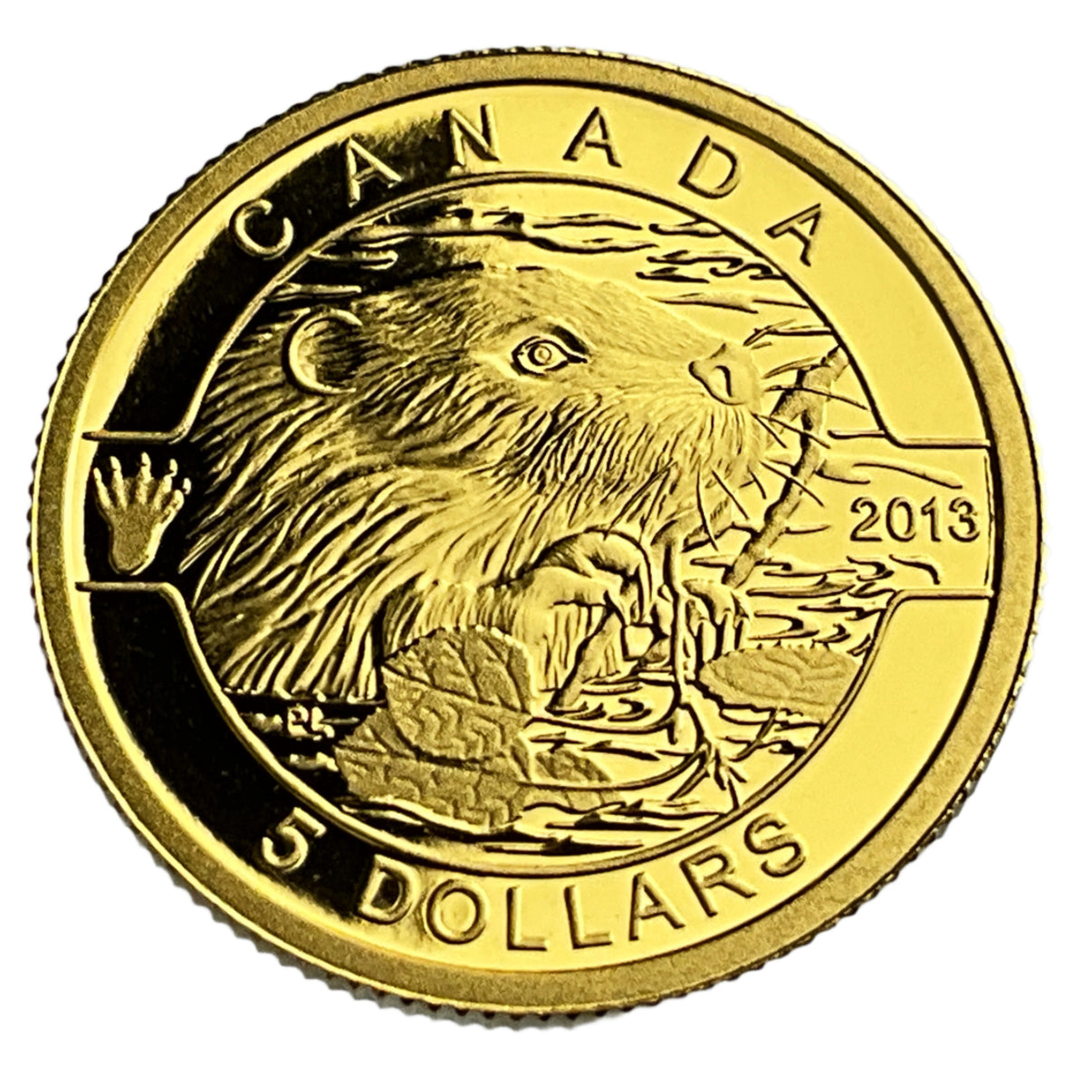 .100 ozt Beaver 9999 Gold $5 Coin – Northshore Gold and Silver